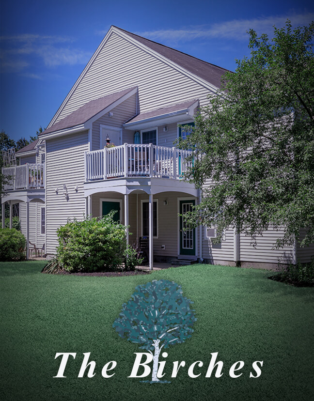 The Birches - Ebrochure